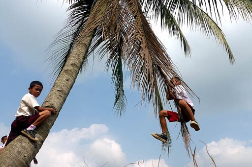 apoLuo WORKSHOP CONTENT #002: WHY ARE YOU DOING THAT? - BMW