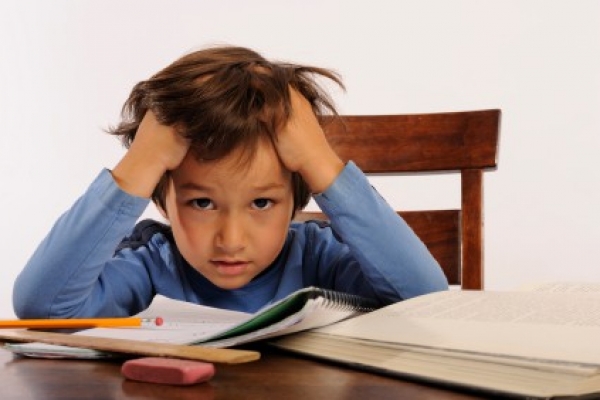 apoLuo WORKSHOP CONTENT #012: ACCORDING TO RECENT REPORTS… - BMW